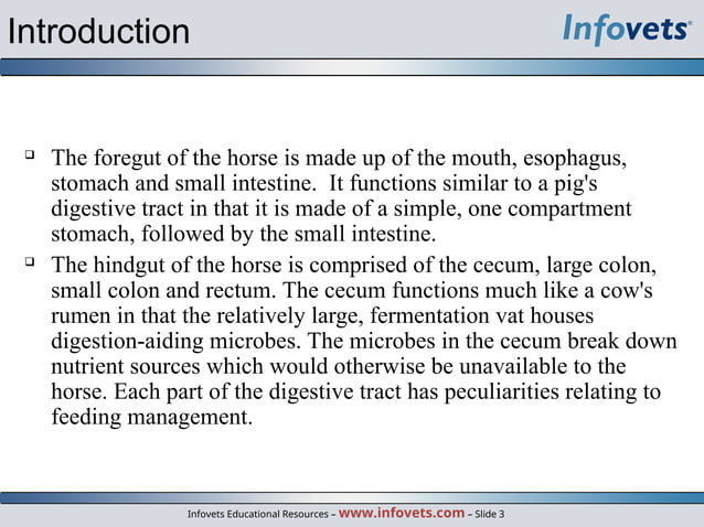 Equine-Digestion-Physiology of horse.ppt | Digestive Disorders ...