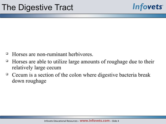 Equine-Digestion-Physiology of horse.ppt | Digestive Disorders ...
