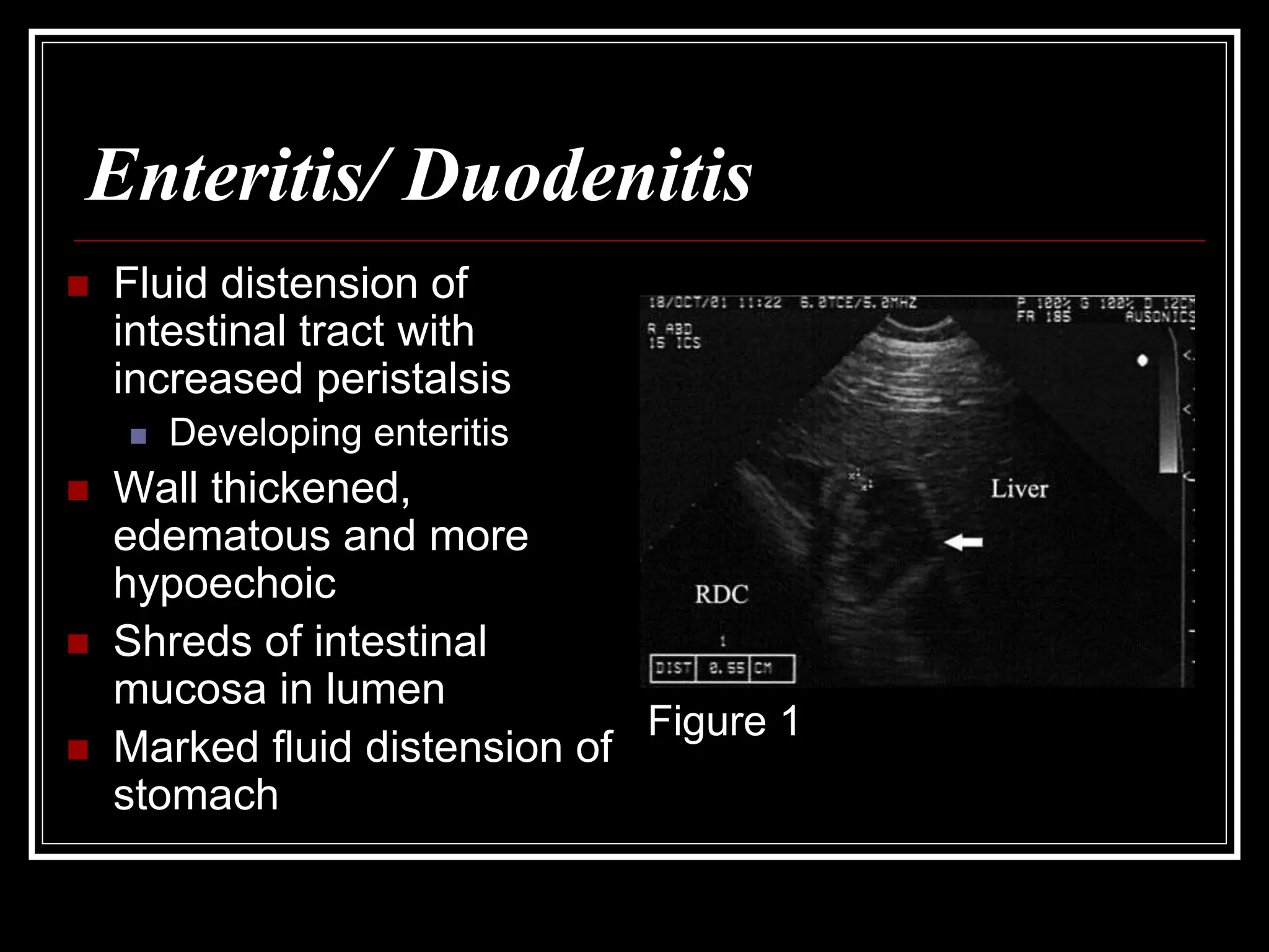 Equine Abdominal Radiographys and UltraSound.ppt