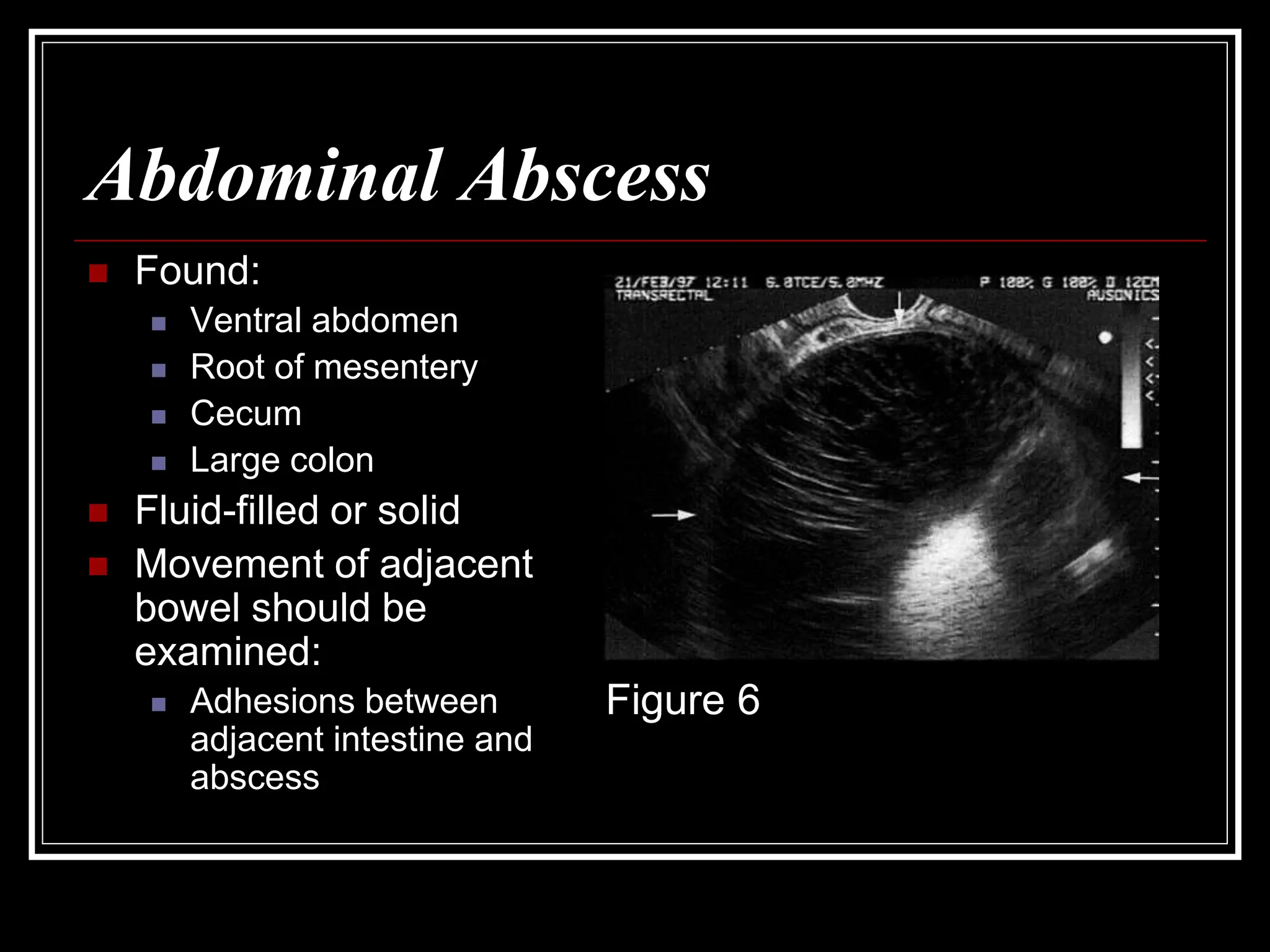 Equine Abdominal Radiographys and UltraSound.ppt