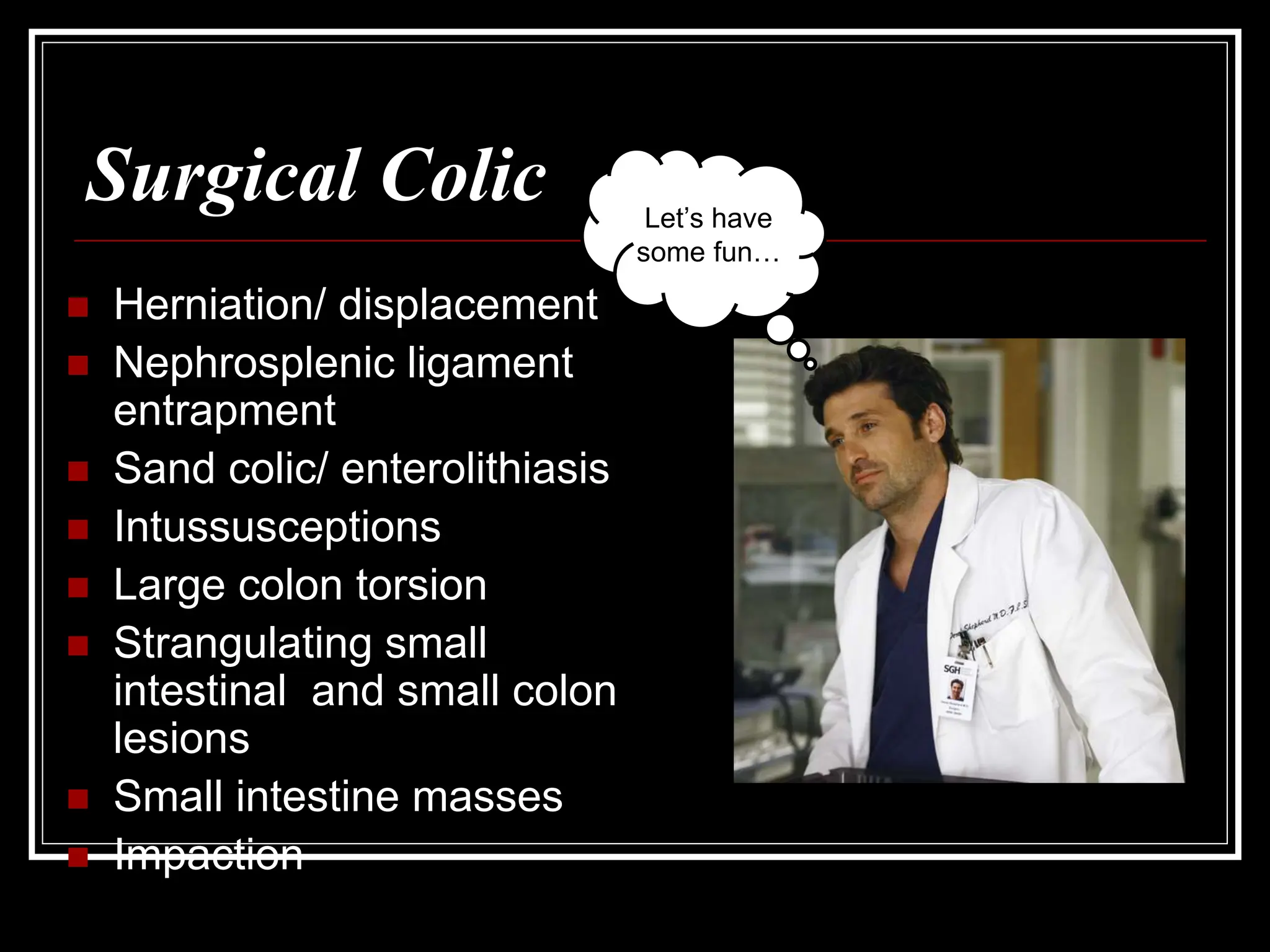 Equine Abdominal Radiographys and UltraSound.ppt