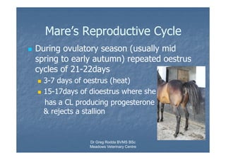 Equine artificial reproduction: How to achieve a successful outcome Dr ...
