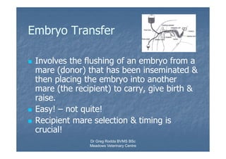 Equine artificial reproduction: How to achieve a successful outcome Dr ...