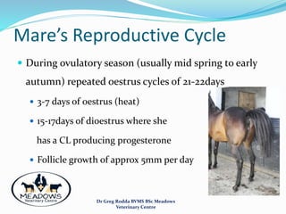 Equine Artificial Reproduction: Increasing your changes for a ...