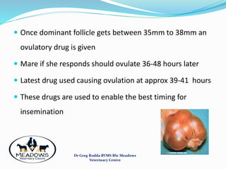 Equine Artificial Reproduction: Increasing your changes for a ...