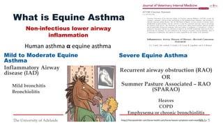 Equine Asthma Syndrome: A common cause of poor performance #horsehealth ...