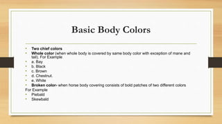 Equine body colors.pptx