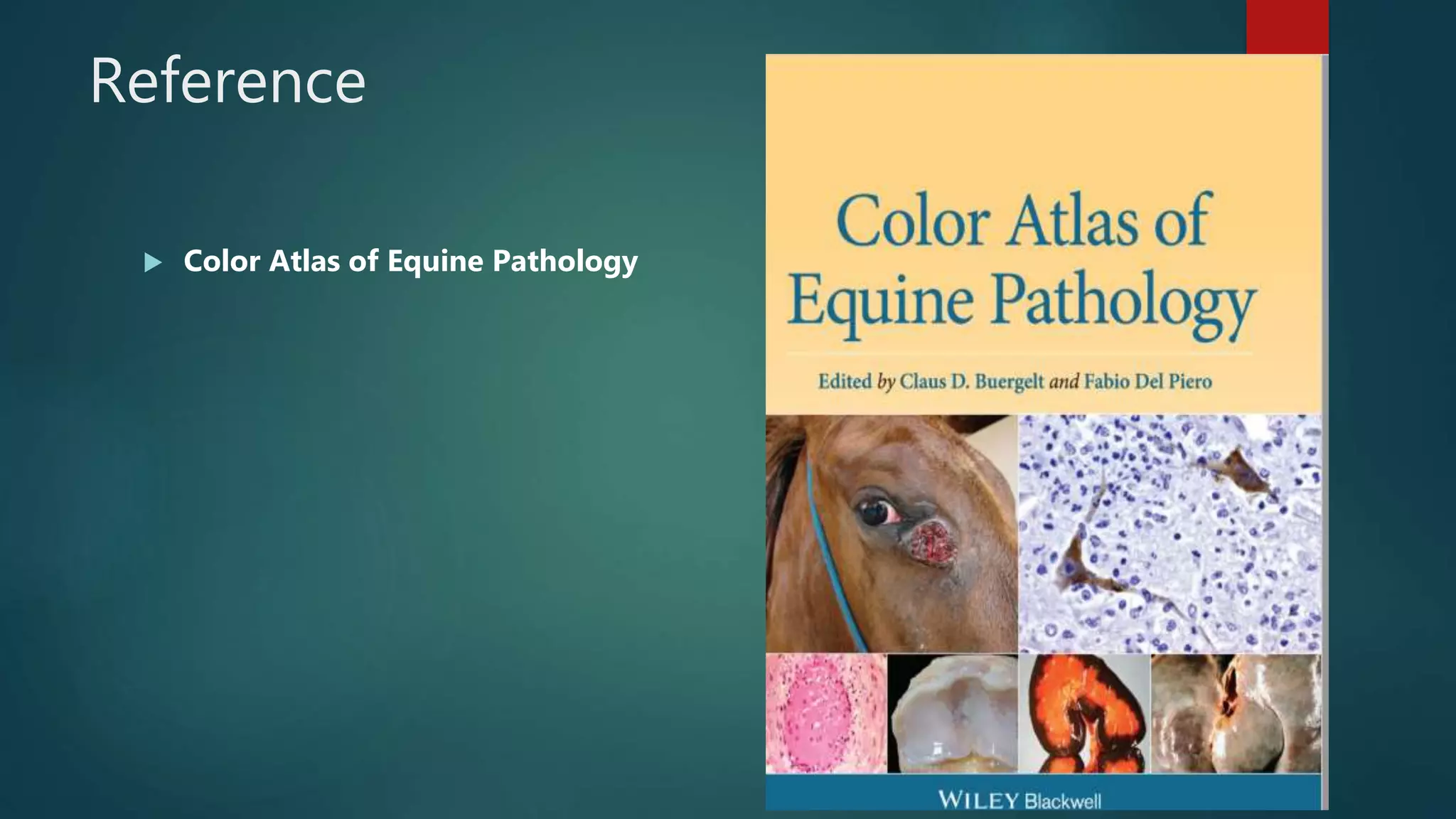 Equine CNS neoplastic lesions in brief By Dr Mahdi Falsafi | PPTX