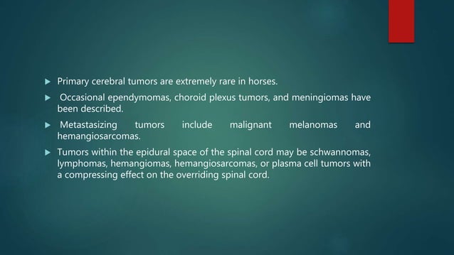 Equine CNS neoplastic lesions in brief By Dr Mahdi Falsafi | PPTX
