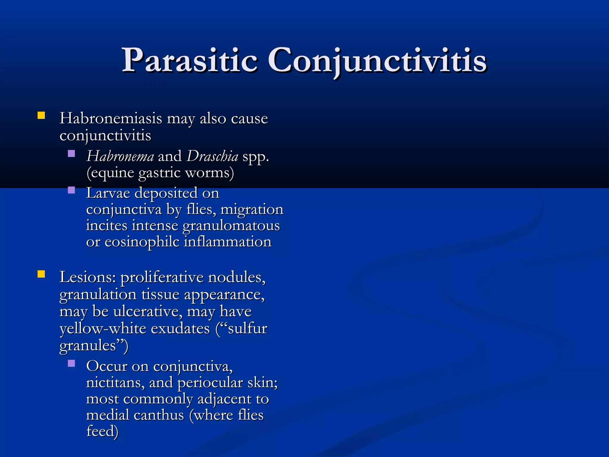 Equine conjunctivitis | PPT