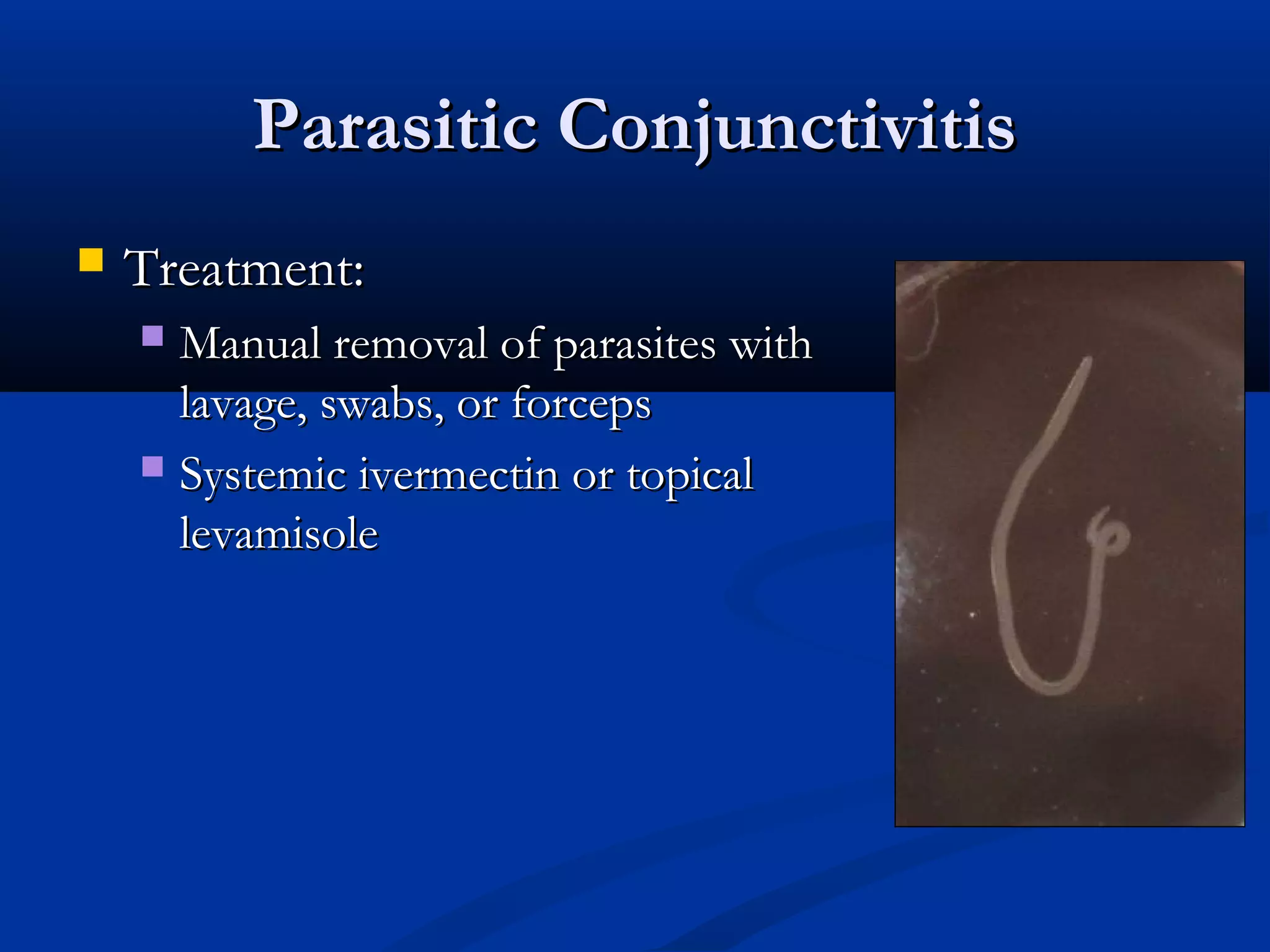 Equine conjunctivitis | PPT