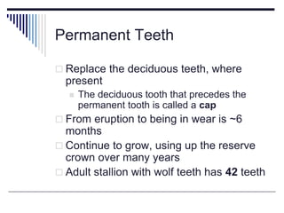 Equine dentition | PPTX