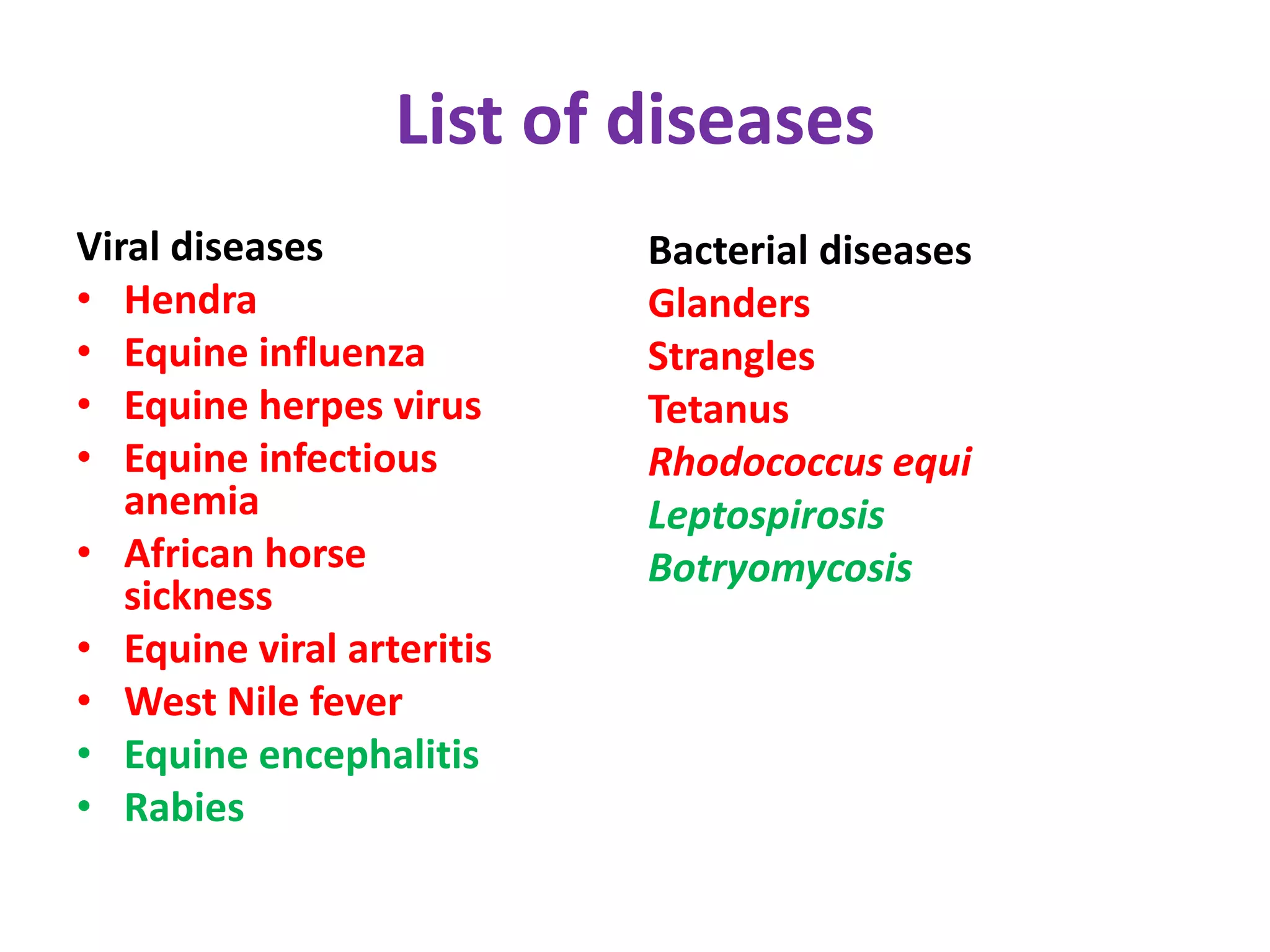 Equine diseases | PPSX