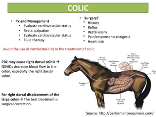 Equine diseases | PPTX