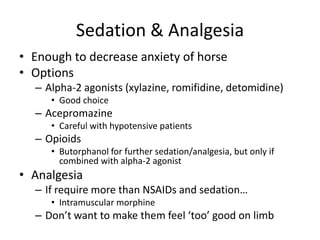 Equine Orthopedic Field Emergency | PPTX