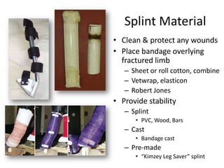 Equine Orthopedic Field Emergency | PPTX