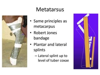 Equine Orthopedic Field Emergency | PPTX