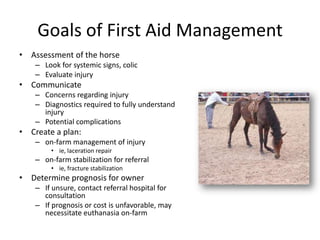 Equine Orthopedic Field Emergency | PPT