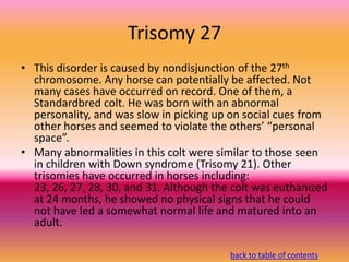 Equine genetic disorders | PPTX