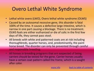 Equine genetic disorders | PPTX