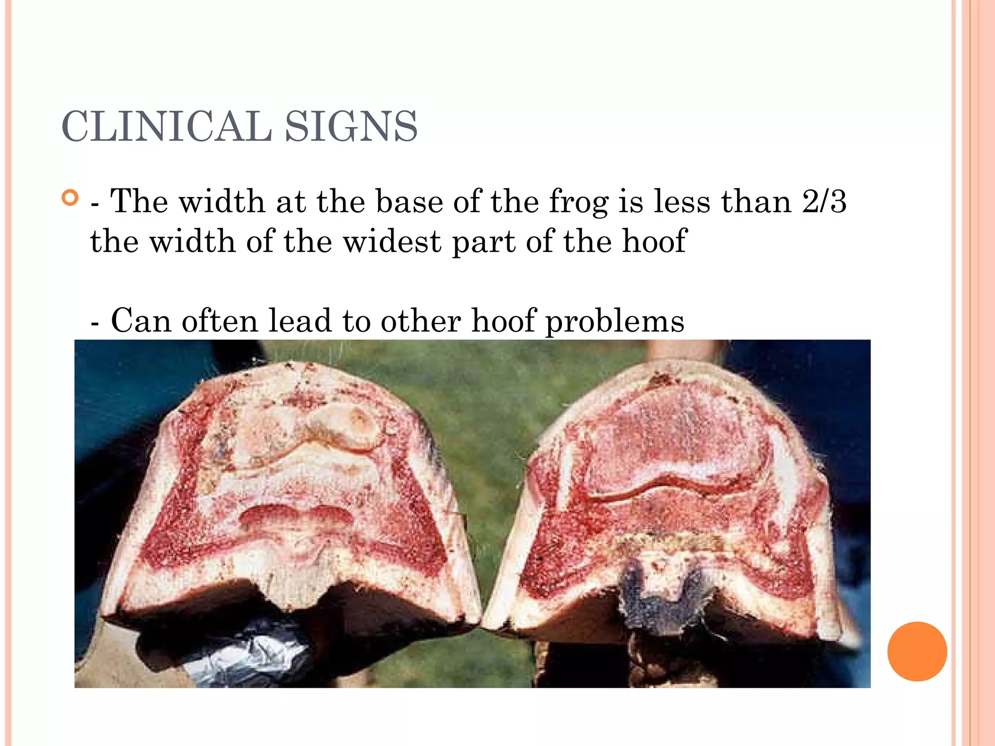 various affection of equine hoof | PPT