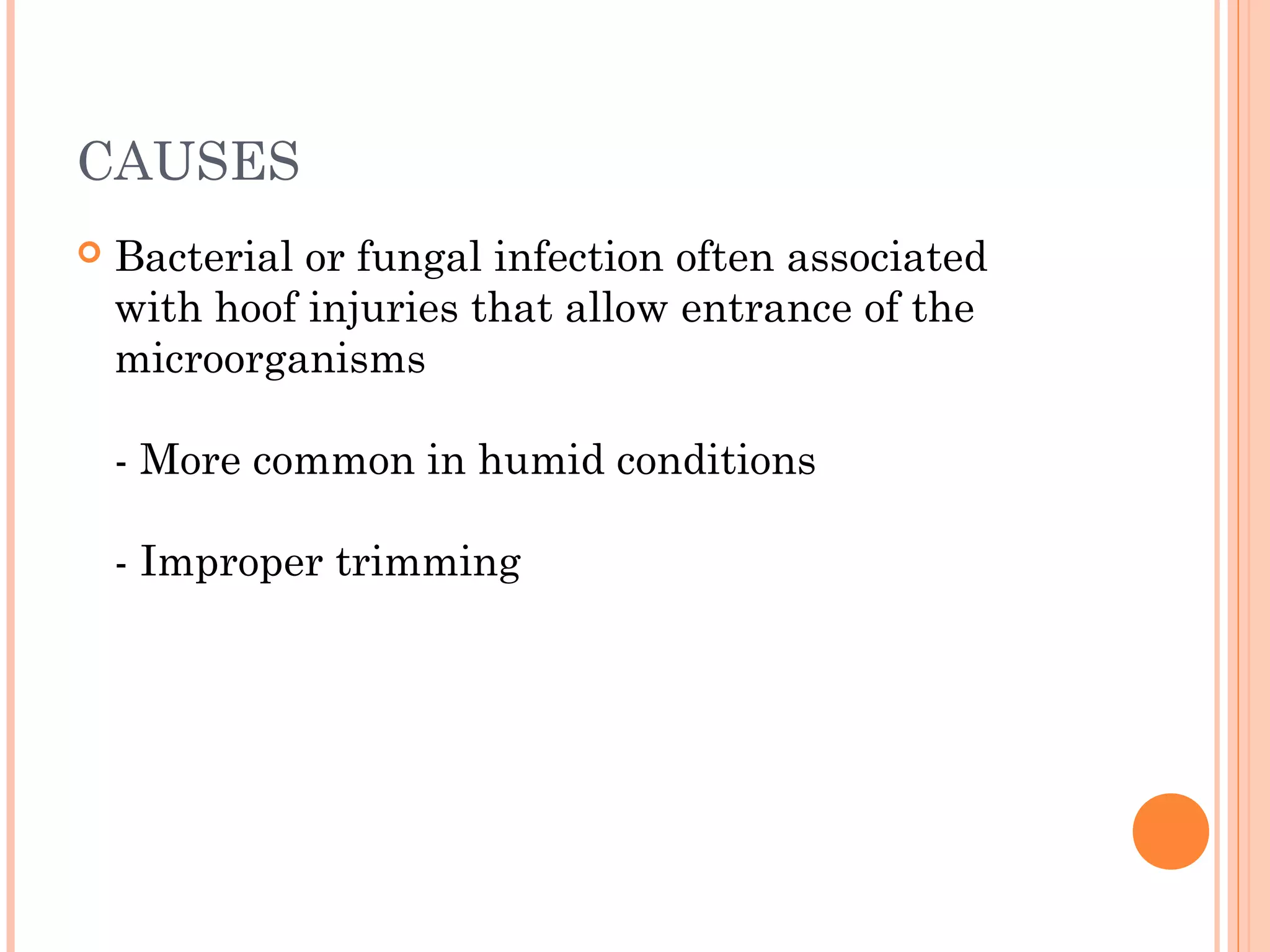 various affection of equine hoof | PPT