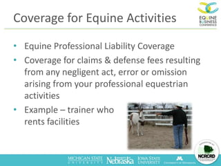 Equine Insurance: Protecting Yourself, Your Horse, and Your Equine ...