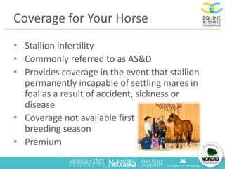 Equine Insurance: Protecting Yourself, Your Horse, and Your Equine ...