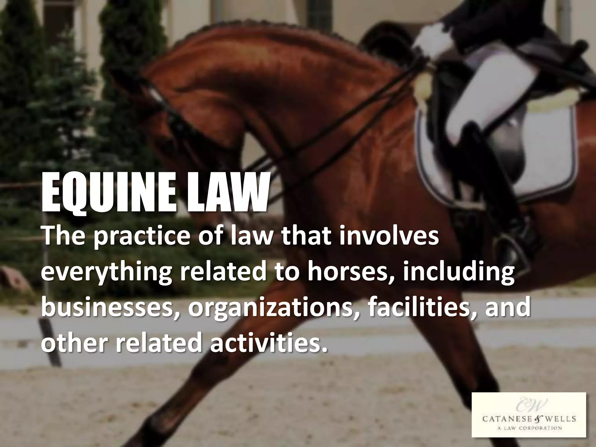 Equine Law 101 | PPTX