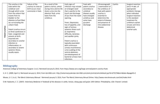 Equine med diseases of the urinary system | DOCX
