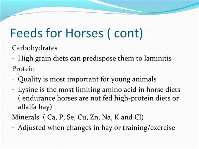 Equine nutrition | PPT | Digestive Disorders | Diseases and Conditions