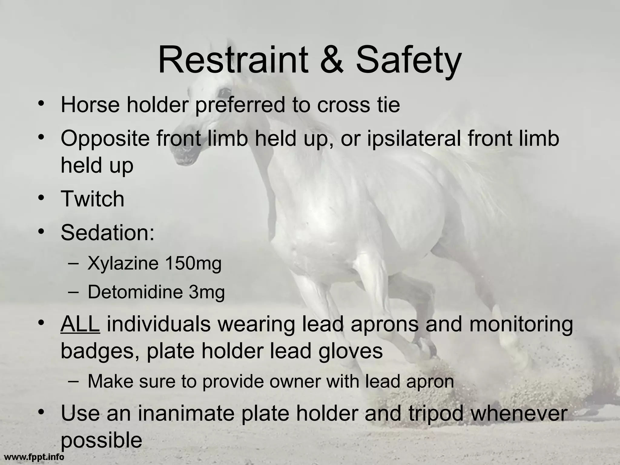 Equine Radiography: Positioning Techniques & Tips for Acquiring Good ...