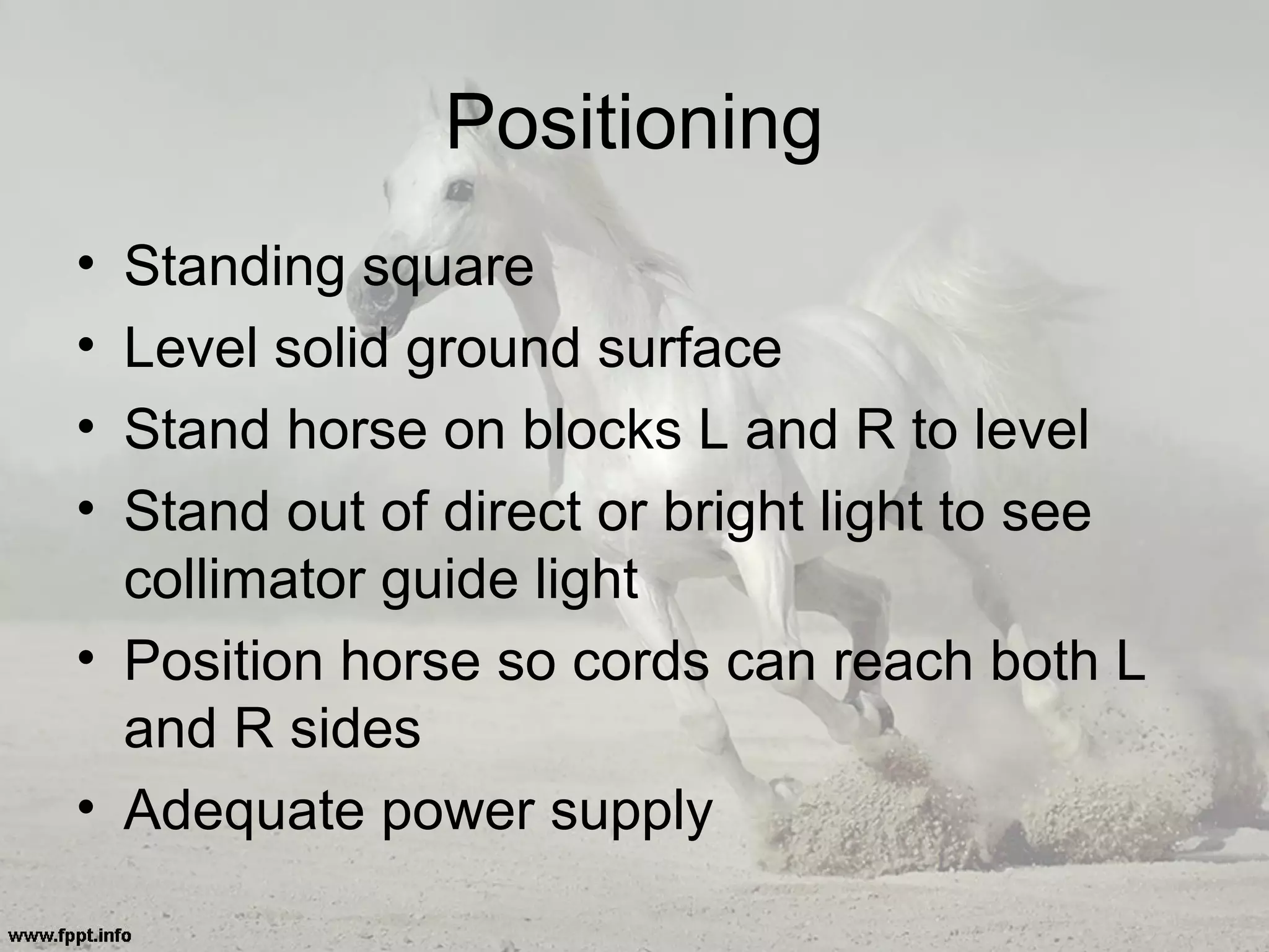 Equine Radiography: Positioning Techniques & Tips for Acquiring Good ...