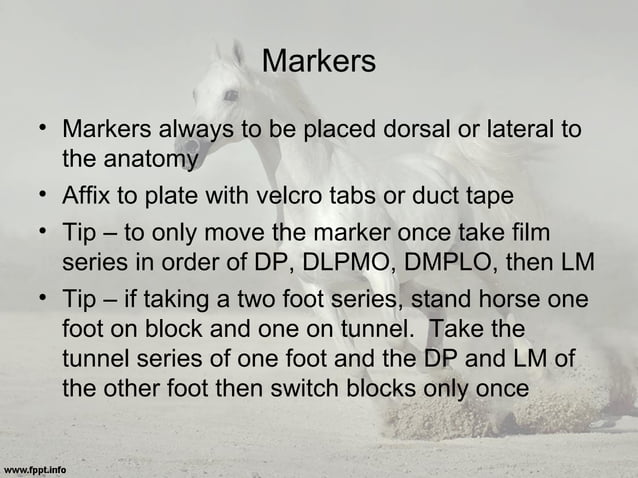 Equine Radiography: Positioning Techniques & Tips for Acquiring Good Images | ODP | Death ...