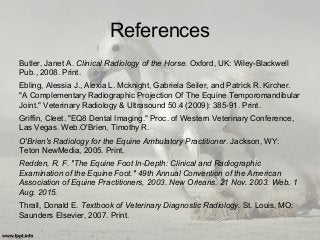 Equine Radiography: Positioning Techniques & Tips for Acquiring Good ...