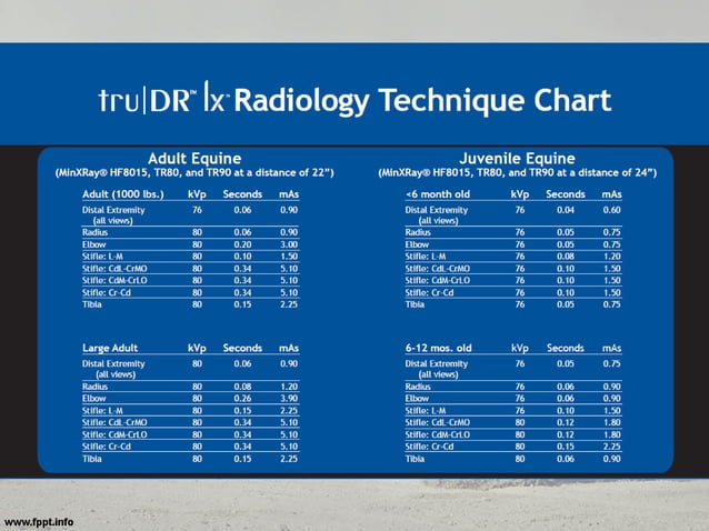 Equine Radiography: Positioning Techniques & Tips for Acquiring Good ...