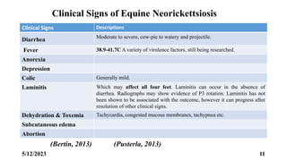 Equine Rickettsial Diseases.pptx
