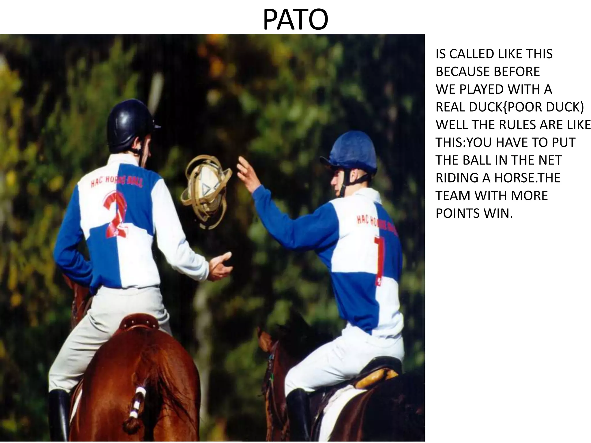 Equine sports | PPTX