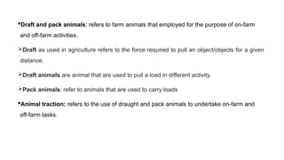 Equine Production and Draft Animal management | PPTX