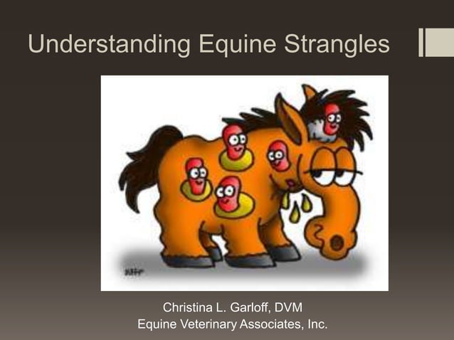 Equine strangles | PPTX | Ear, Nose and Throat Conditions | Diseases ...