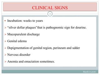 Equine trypanosomiasis(dourine) | PPTX