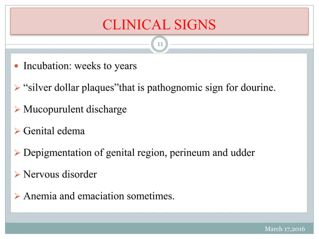 Equine trypanosomiasis(dourine) | PPTX