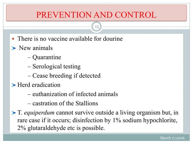Equine trypanosomiasis(dourine) | PPTX