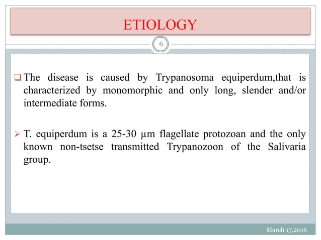 Equine trypanosomiasis(dourine) | PPTX