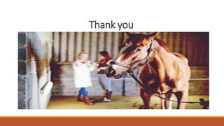 Equine viral arteritis | PPTX