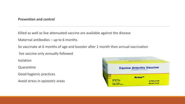 Equine viral arteritis | PPTX | Infectious Diseases | Diseases and ...