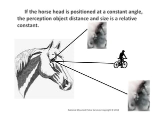 Equine Vision Explained | PPT