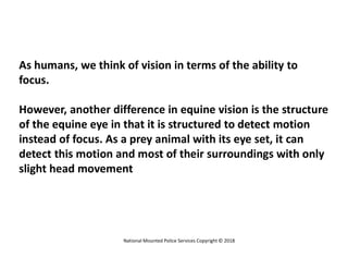 Equine Vision Explained | PPT