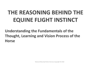 Equine Vision Explained | PPT