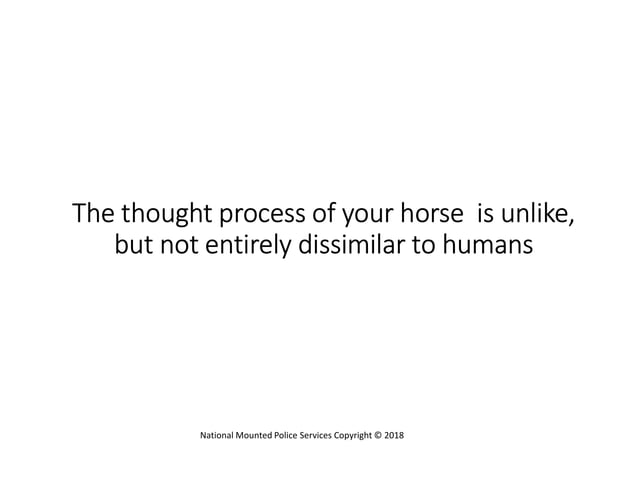 Equine Vision Explained | PPT | Free Download